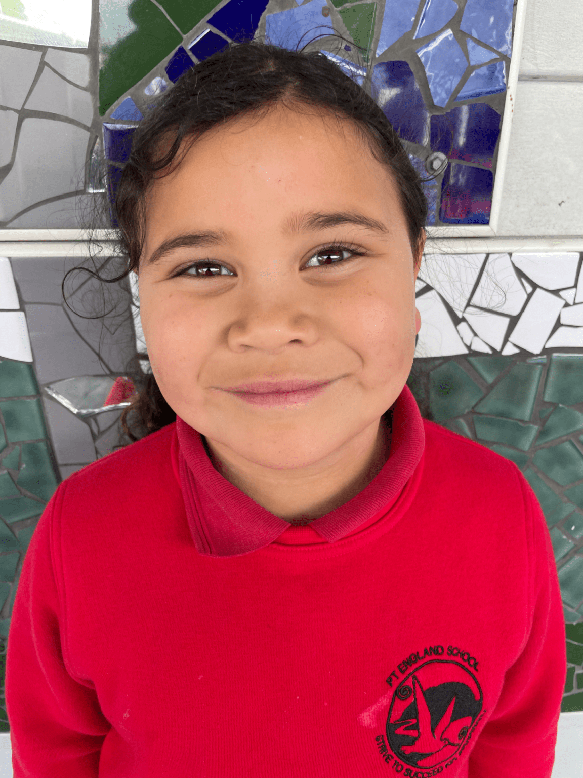 NSEW directions – Te Hiritanga @ Pt England School